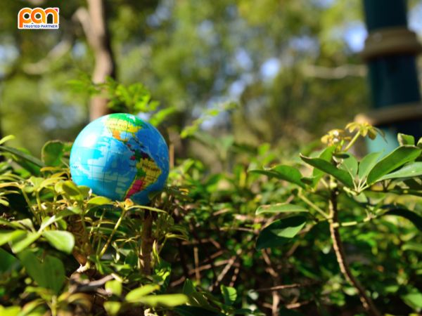 What Is Environmental Protection? Meaning, Importance and Respons